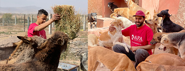 Animals First Aid (AFA) - Caring for all, leaving no one behind.