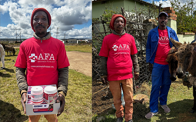 Animals First Aid (AFA) - Caring for all, leaving no one behind.